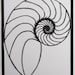 NAUTILUS Shell Silhouette Paper Cutout Handcut in Black Symbolic Wall ...