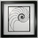 Hand-cut Nautilus Shell Silhouette, Black Framed Paper-cut Art ...