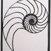 NAUTILUS Shell Silhouette Paper Cutout Handcut in Black Symbolic Wall ...