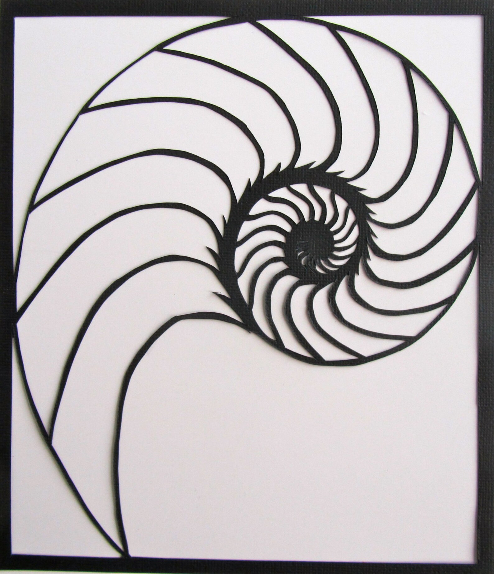 Hand-cut Nautilus Shell Silhouette, Black Framed Paper-cut Art ...