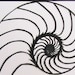Hand-cut Nautilus Shell Silhouette, Black Framed Paper-cut Art ...