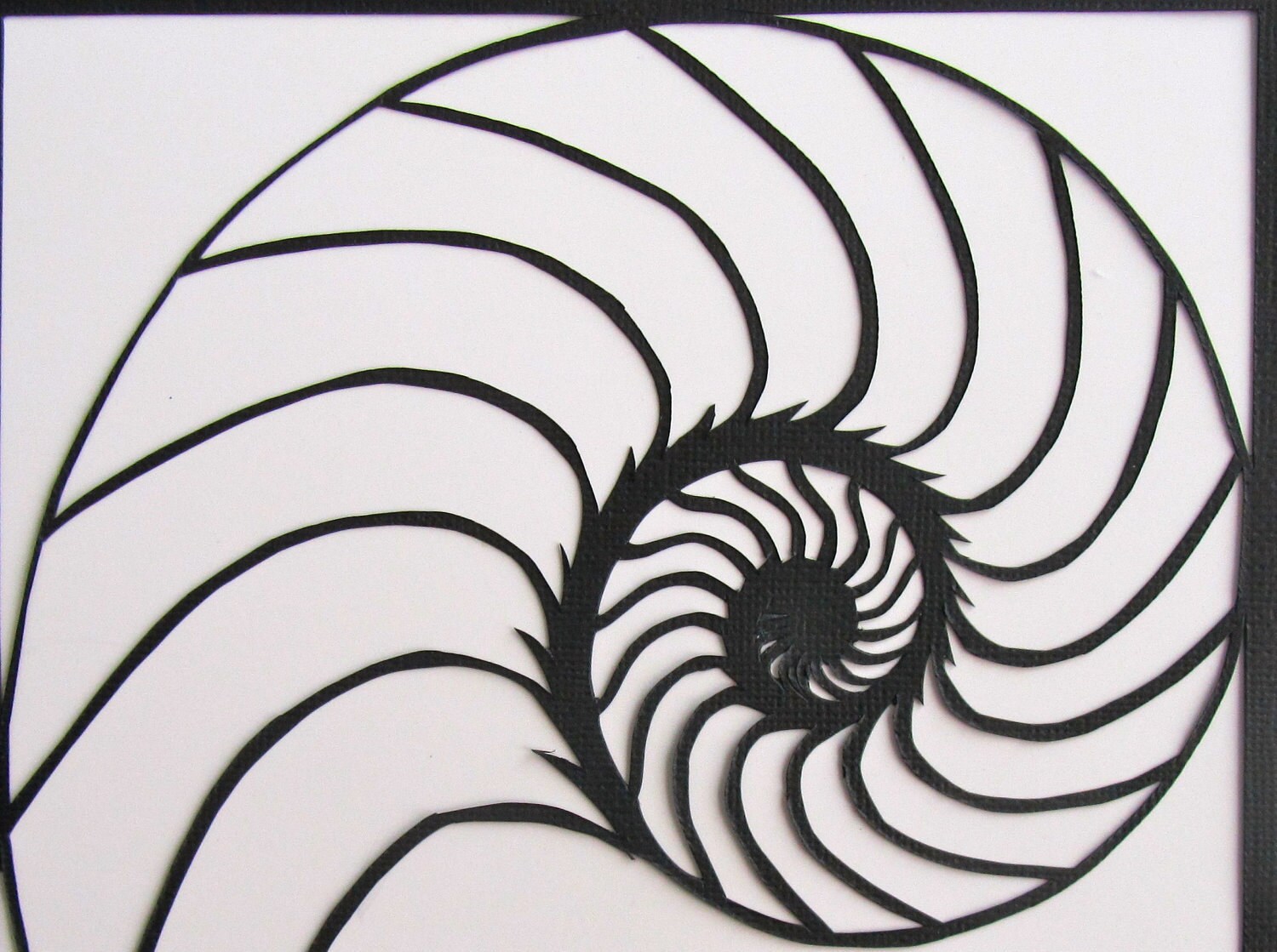 NAUTILUS Shell Silhouette Paper Cutout Handcut in Black Symbolic Wall ...