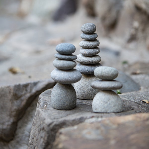 Mini Zen Garden - Etsy