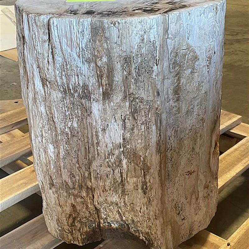 Wood Stump - Etsy