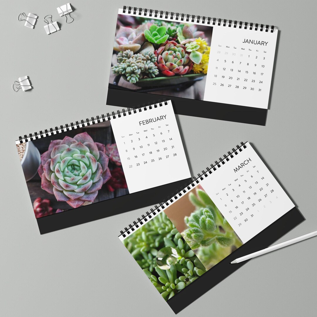 Succulent Desk Calendar 2026 | Botanical Photography | Cute Plant Lover ...