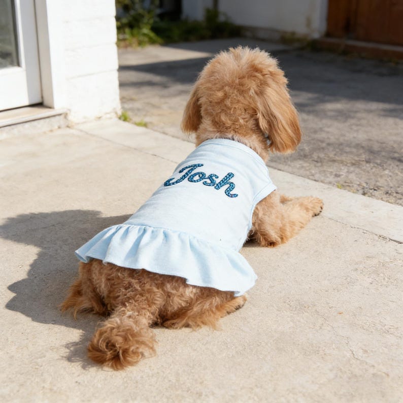 Personalized Dog Girls Dress, Cute Puppy Dress, Custom Name Skirt for ...