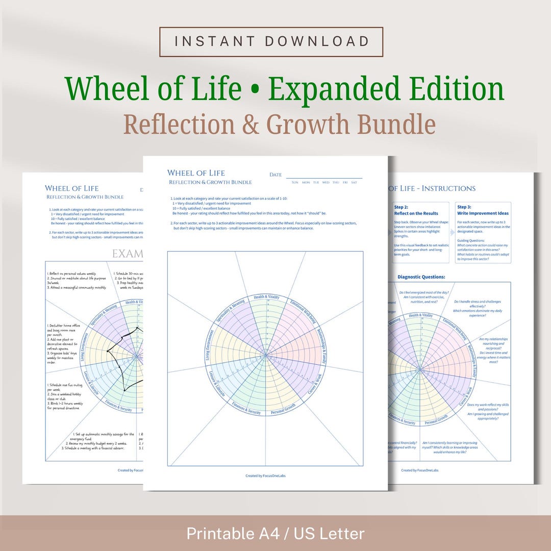 Wheel of Life • Self-assessment & Goal Setting Wheel (printable PDF A4 ...