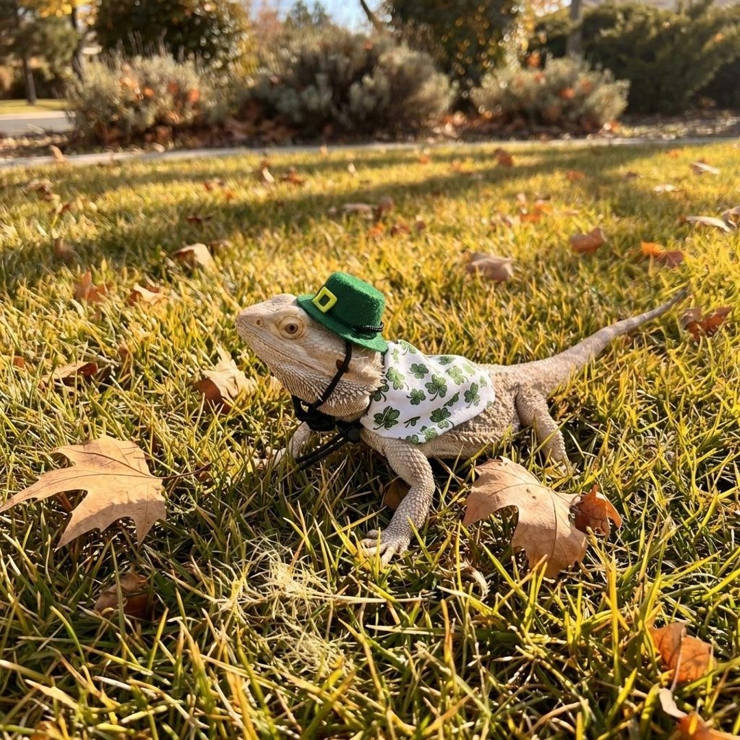 Lizard Costumes, Hats and Clothing, Irish Festival, St. Patrick's Day ...