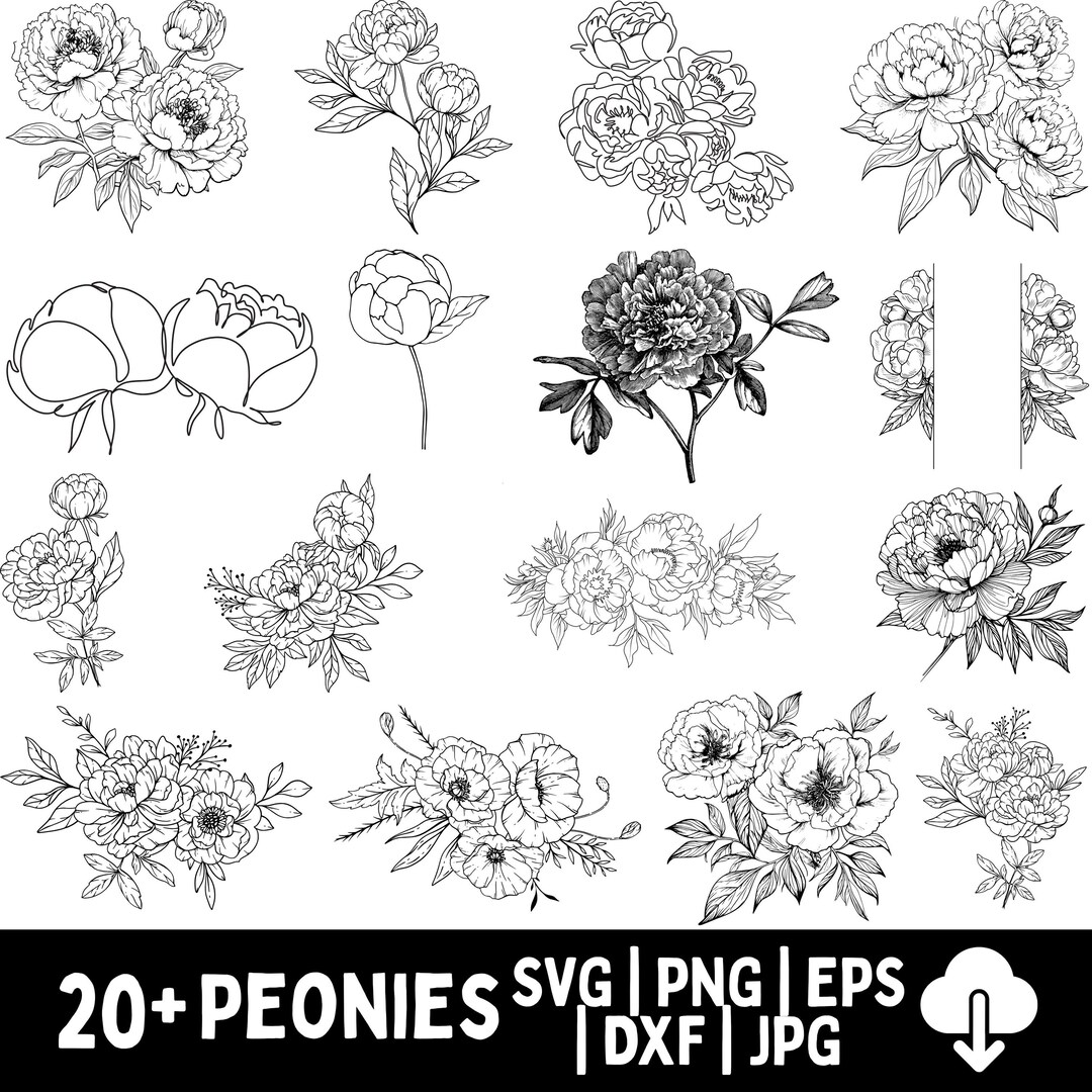Peonies Svg Bundle, Peony Svg, Peonies Bouquet Svg, Floral Arrangement ...