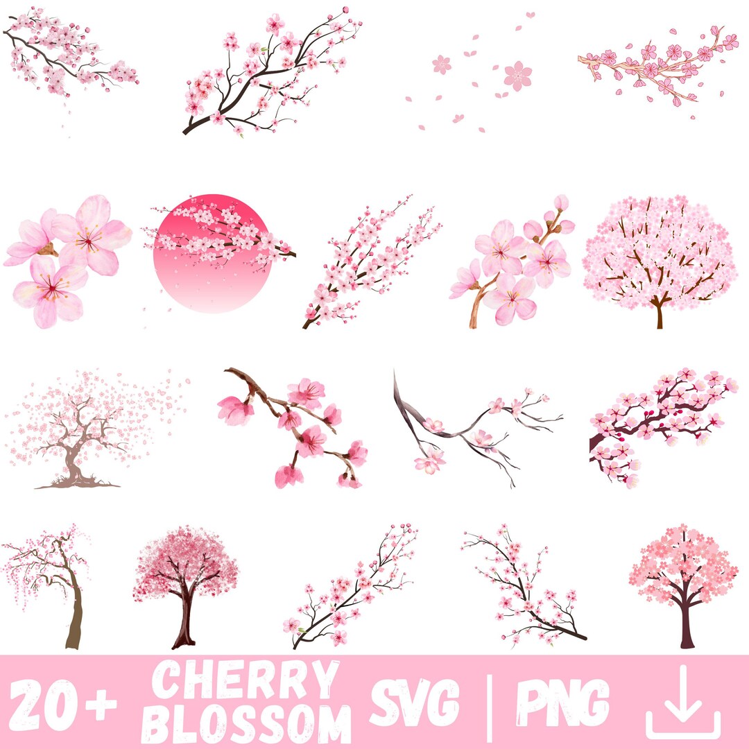 Cherry Blossom SVG, Sakura Flower Clipart (digital Download) - Etsy