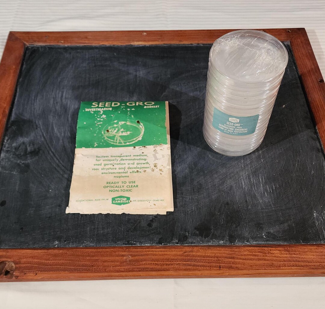VTG 10pc Educational Germination Chambers Seed-gro Classroom Pack ...