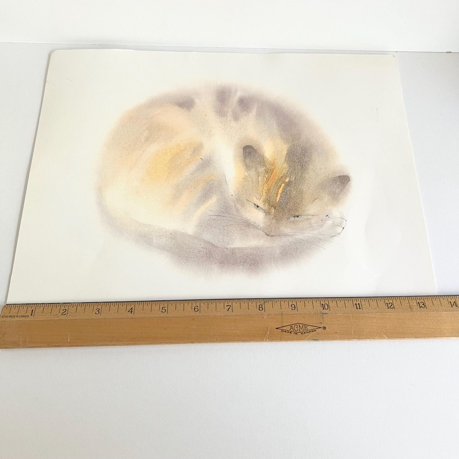 Cat Nap 11 Vintage Frameable Print, Wall Art, Kitty Sleeping, 10 1/2 X ...