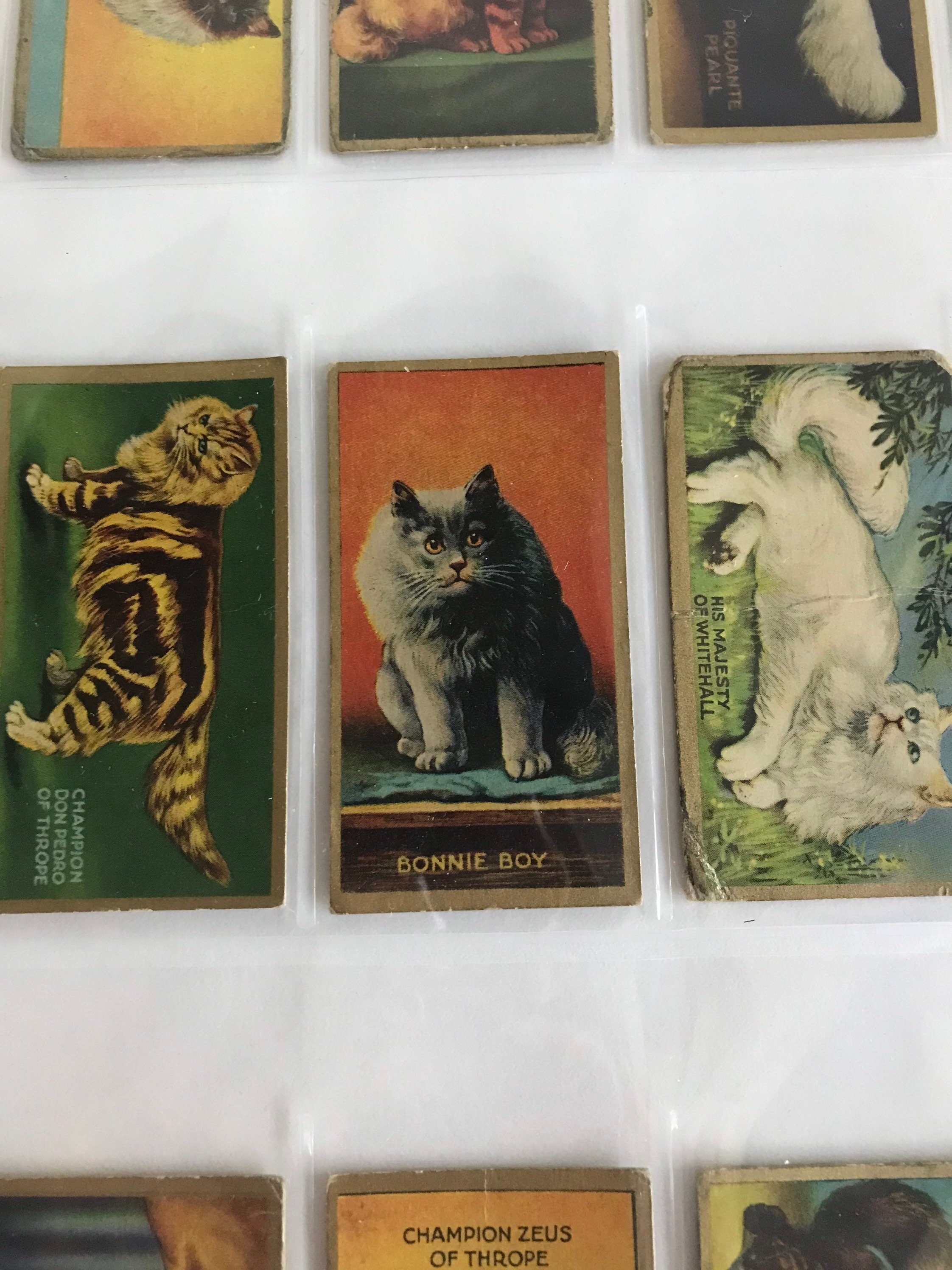Cowan's Noted Cats, Chocolate Cards, Non-sports Trading, 23 of 24 in ...