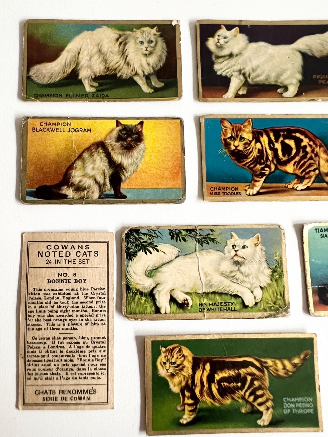 Cowan's Noted Cats, Chocolate Cards, Non-sports Trading, 23 of 24 in ...