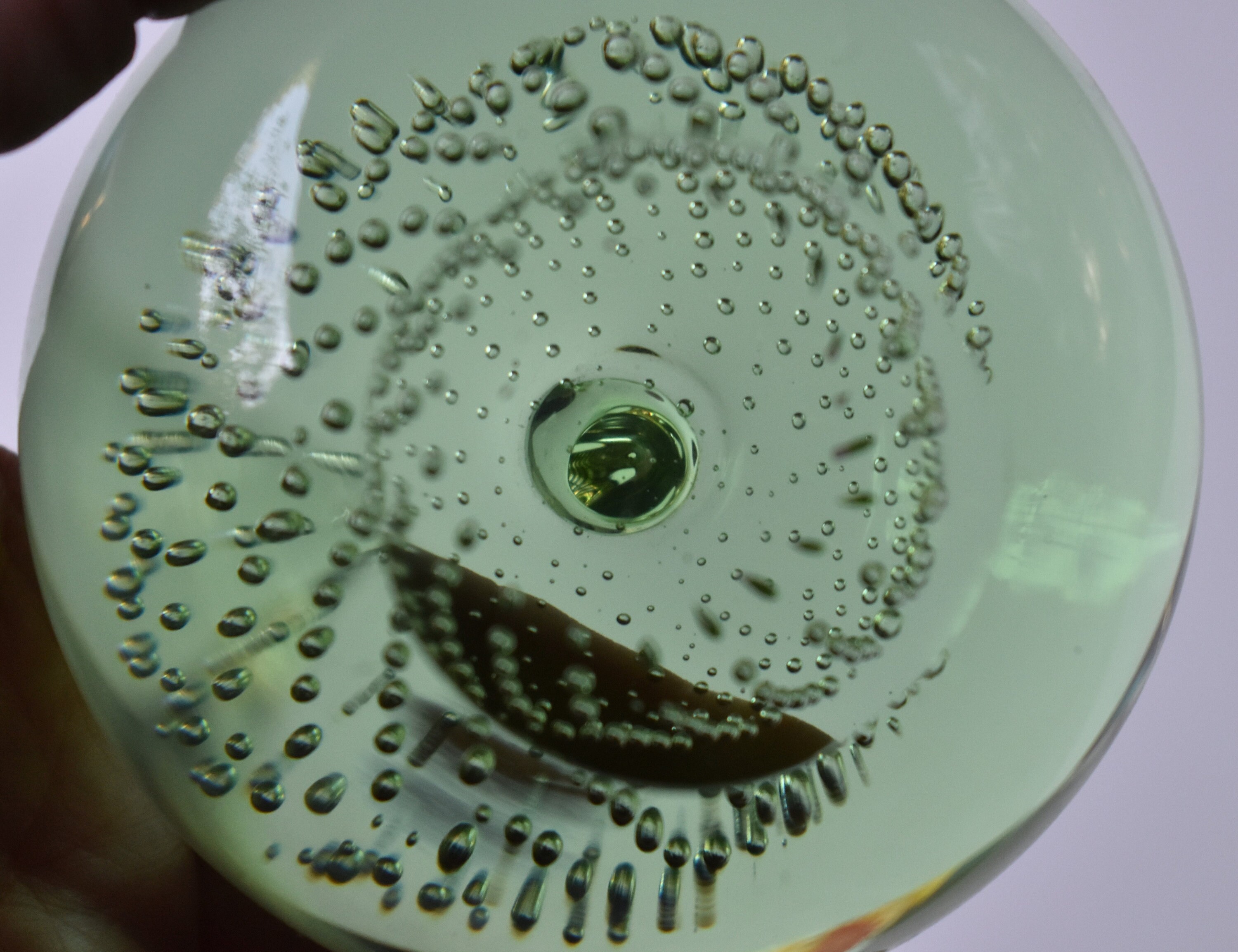 Green Glass Apple Paperweight Controlled Bubble Jaffe Rose | Etsy