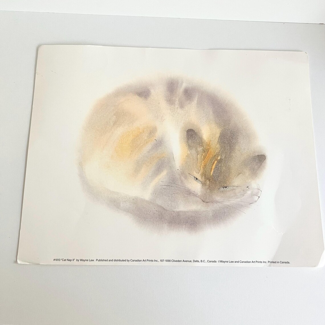 Cat Nap 11 Vintage Frameable Print, Wall Art, Kitty Sleeping, 10 1/2 X ...