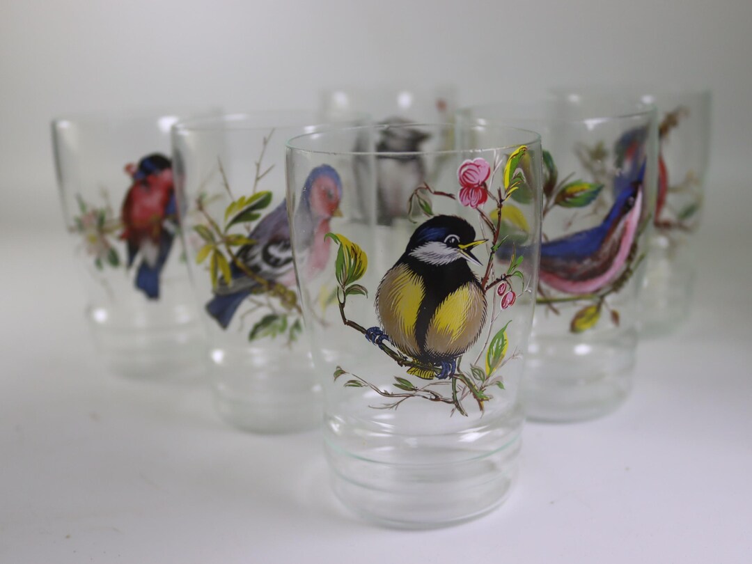 1989 New in Box Vintage USSR Bird Glass Set Souvenir - Etsy