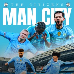 premier decorations logo