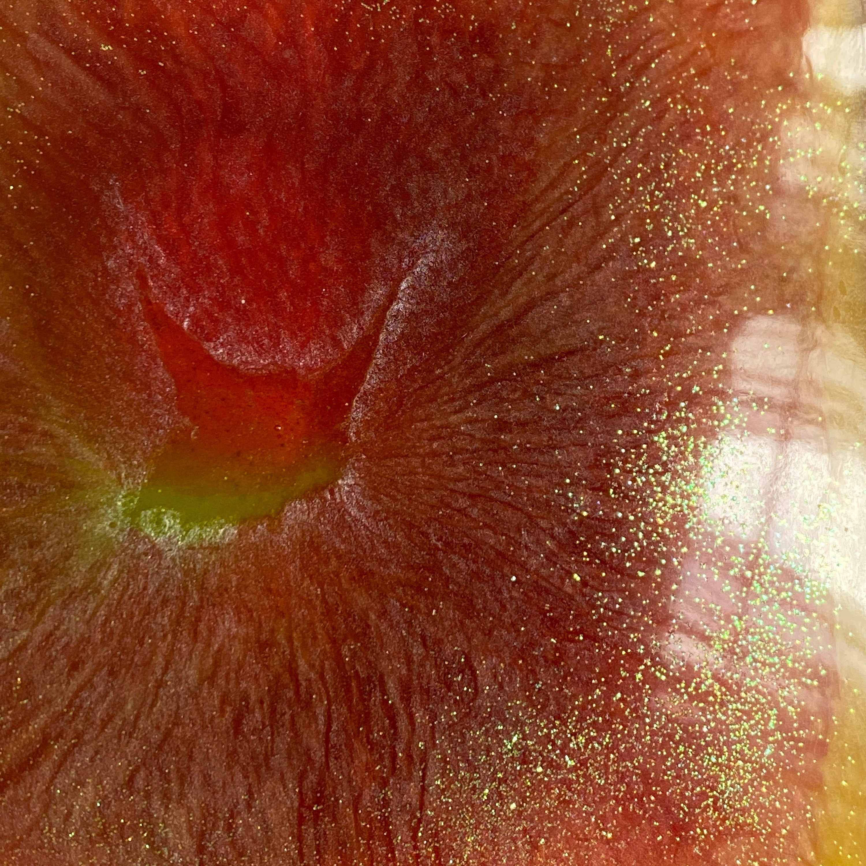 Original Art hibiscus Nova Resin Artwork Painting by Tristina Dietz ...