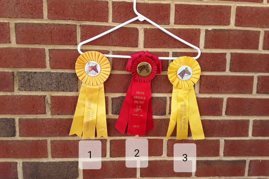 Vintage Horse Ribbons PRICE FOR ONE Ribbon Equestrian Decor Rosette ...