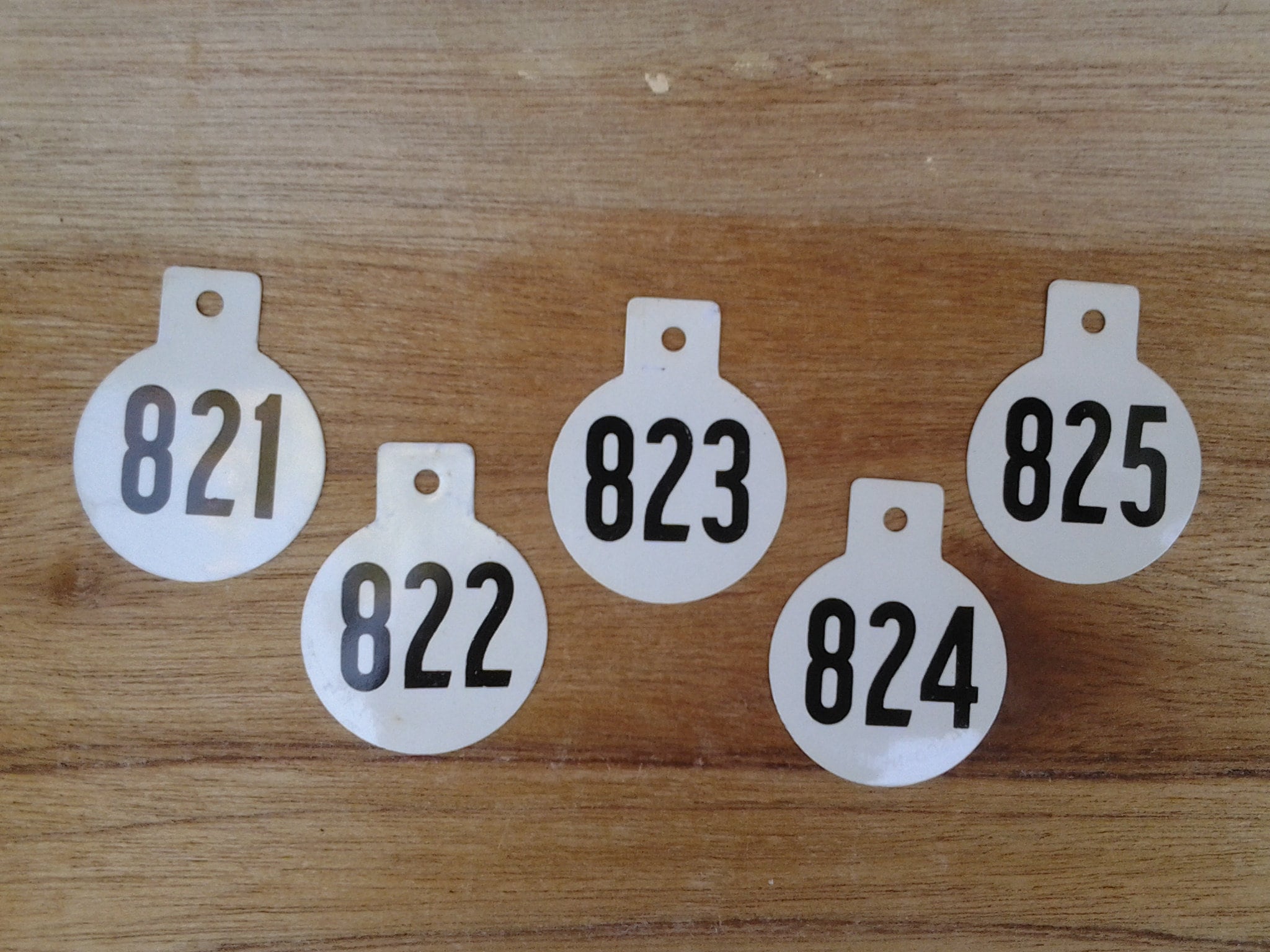 Vintage Cow Ear Tags - Livestock ID Tags - Industrial Art - Steampunk ...