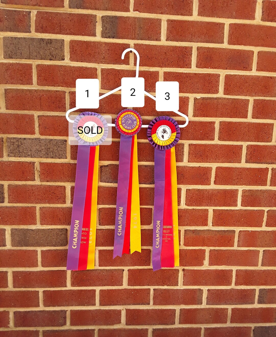 Vintage Horse Ribbons ONE Ribbon Equestrian Horse Decor Rosette ...