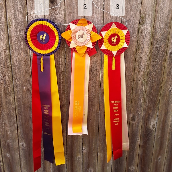 Horse Show Awards - Etsy
