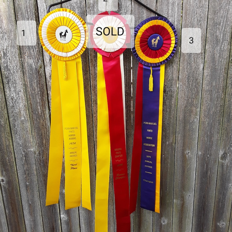 Horse Show Ribbons - Etsy