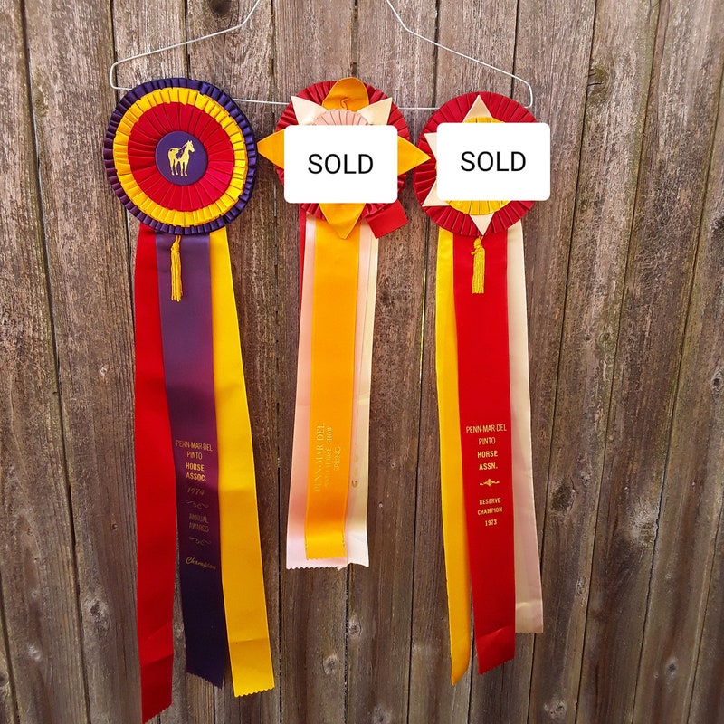 Horse Show Ribbons - Etsy
