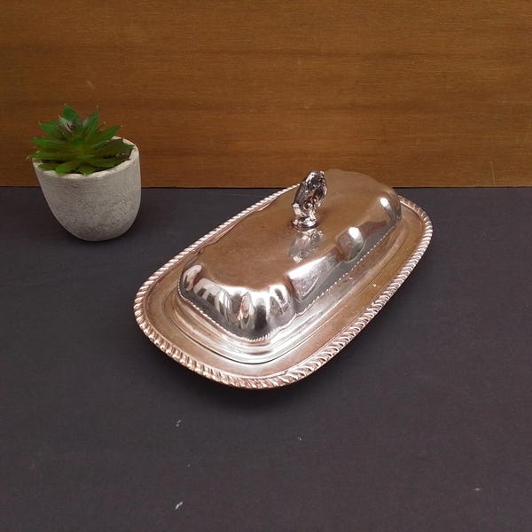 Butter Dish Insert - Etsy