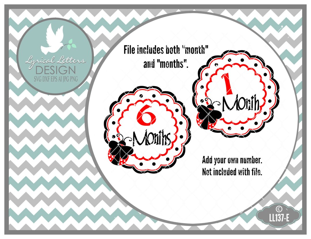 Ladybug Birth Months Design for Baby Shirts LL137 E SVG Ai, Eps, Svg ...