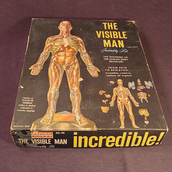 Visible Man Body Kit - Etsy