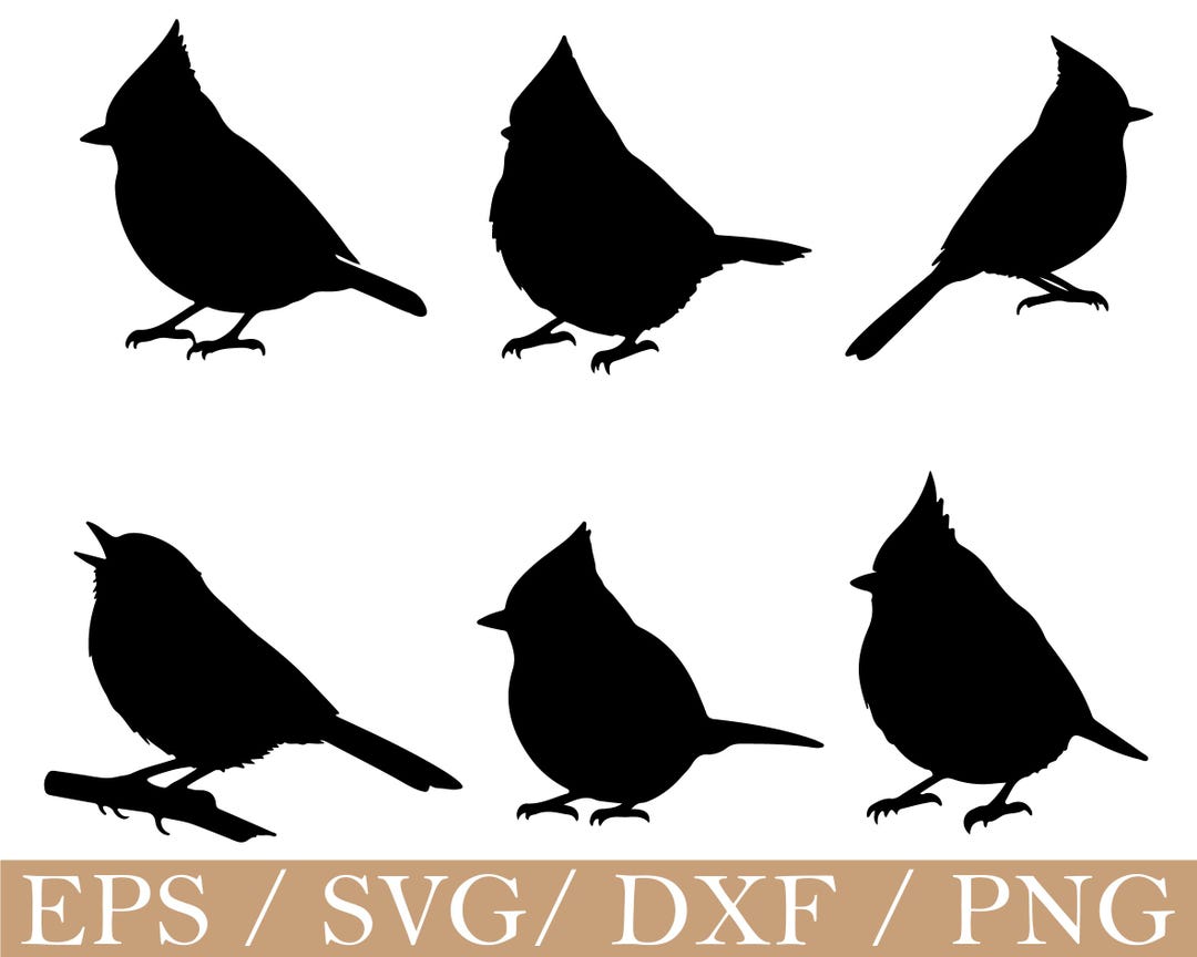 Titmouse Bird Svg, Titmouse Bird Silhouette, Dxf, Png - Etsy