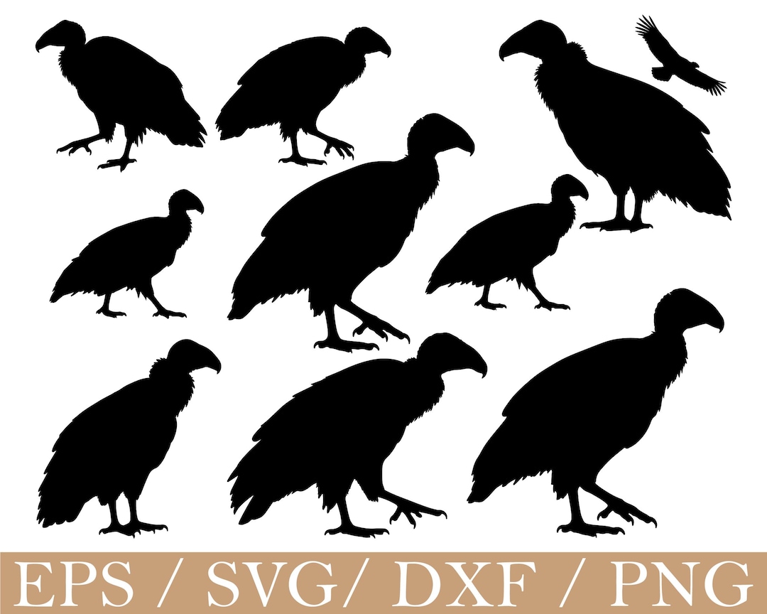 California Condor Svg, Condor Silhouette, Dxf, Png - Etsy