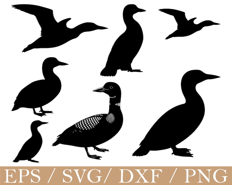 Loon Bird Svg, Loon Silhouette, Dxf, Png - Etsy