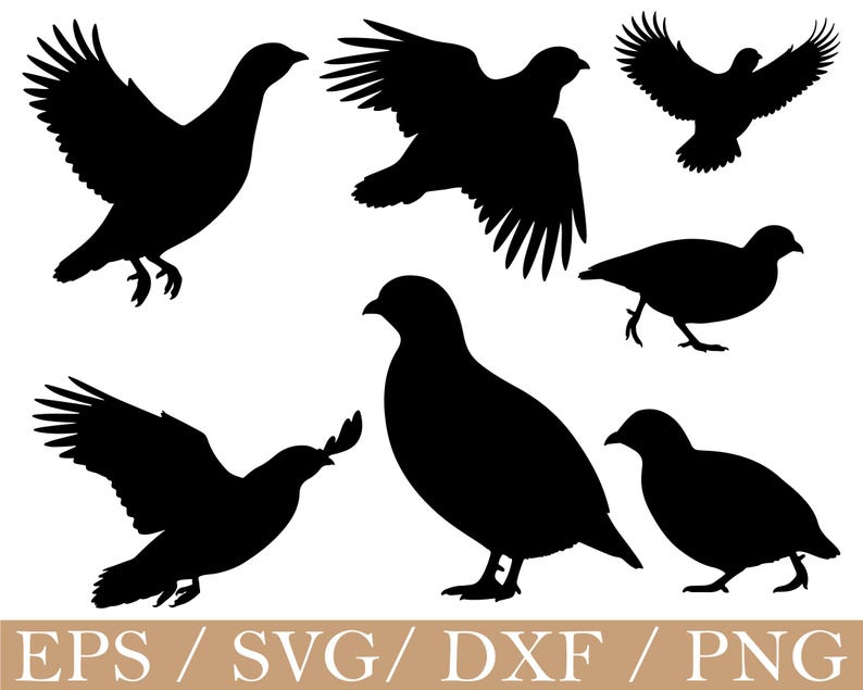 Chukar Bird Svg, Chukar Bird Silhouette, Dxf, Png - Etsy