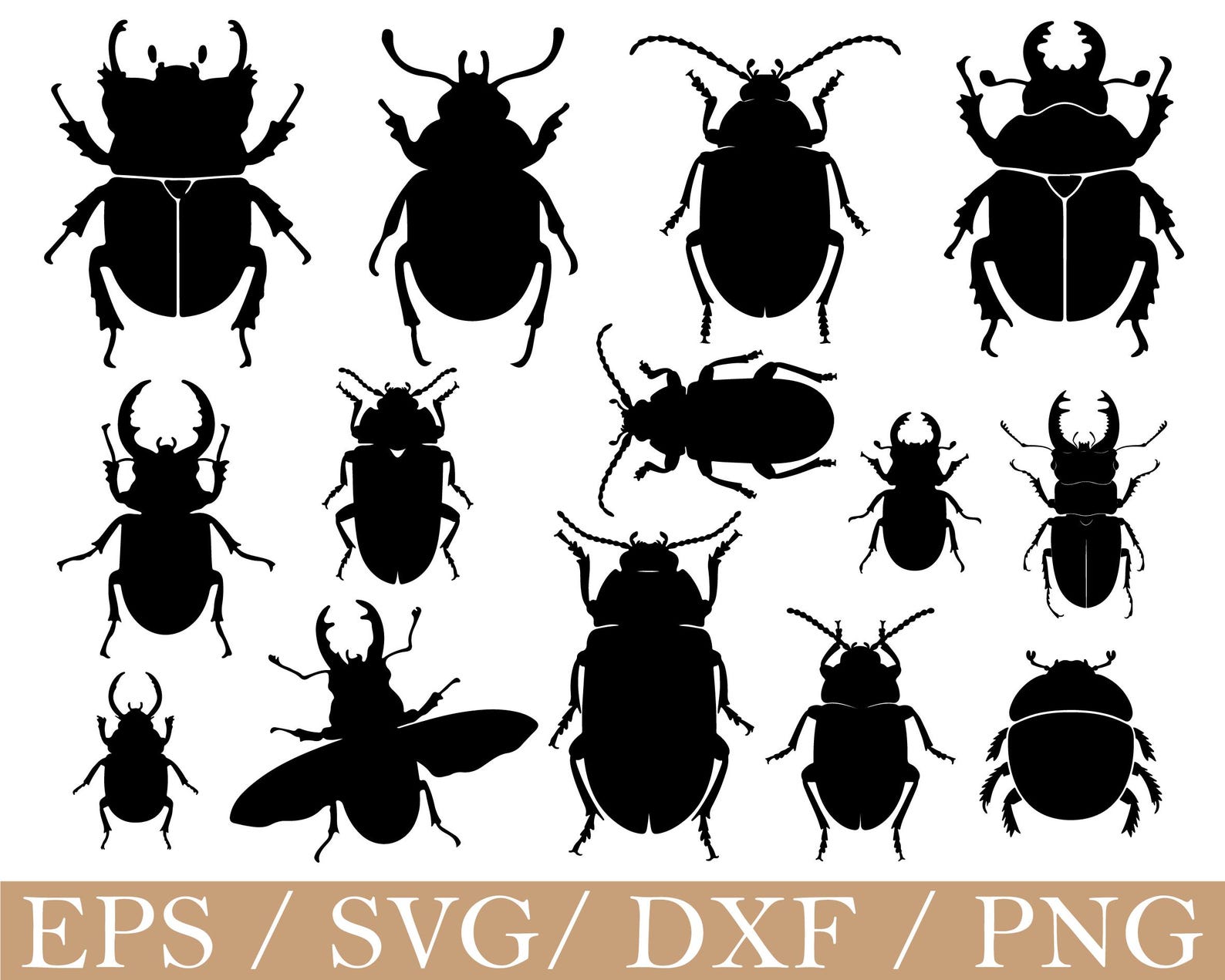 Beetles Svg, Beetles Silhouette, Dxf, Png - Etsy