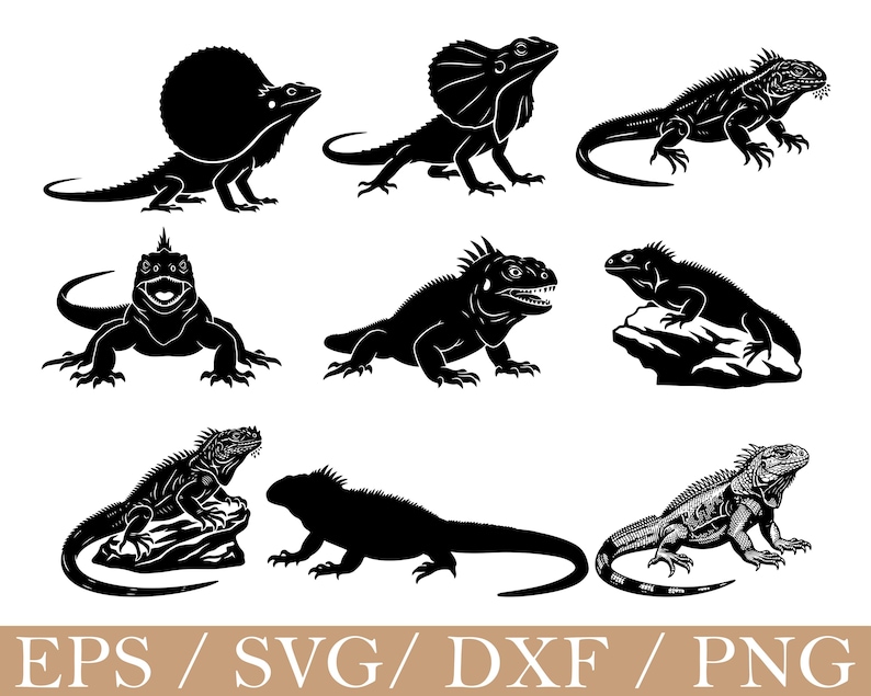 Frilled Liard Svg, Lizard Silhouette, Dxf, Png - Etsy