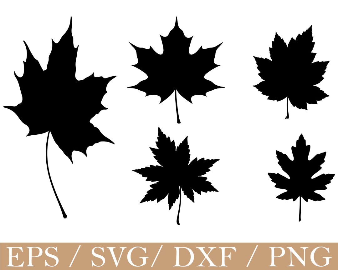 Maple Leaf Svg, Maple Leaf Silhouette, Dxf, Png - Etsy Canada