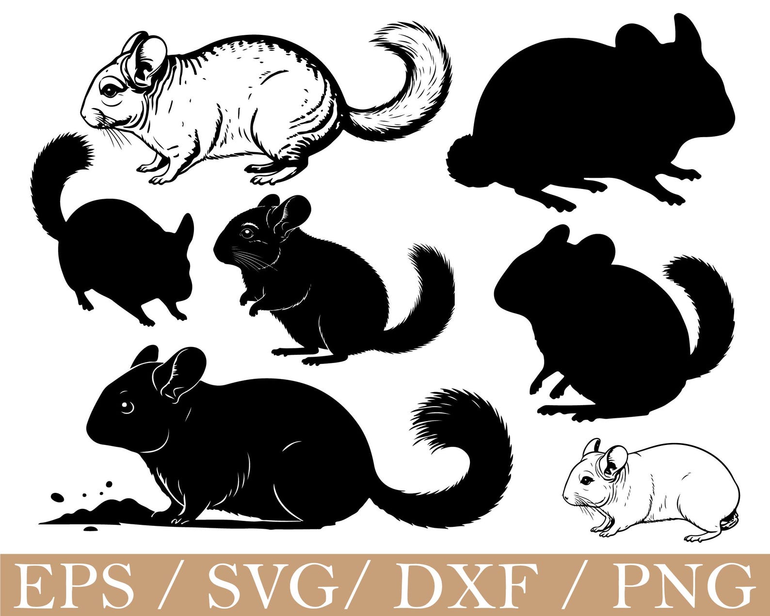 Chinchilla Svg, Chinchilla Silhouette, Dxf, Png - Etsy