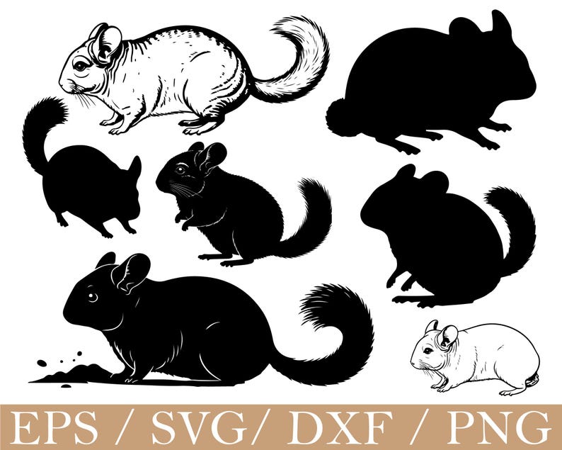 Chinchilla Svg, Chinchilla Silhouette, Dxf, Png - Etsy