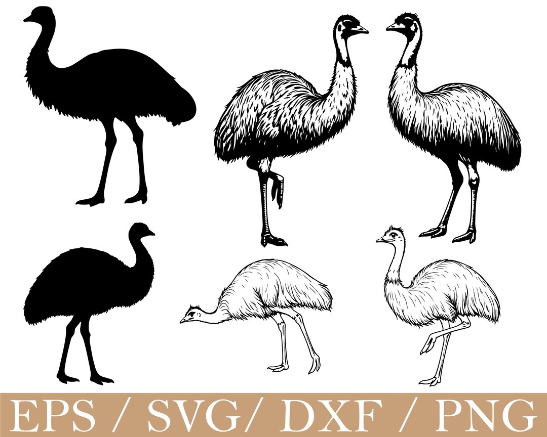 Emu Svg, Emu Silhouette, Dxf, Png - Etsy Australia