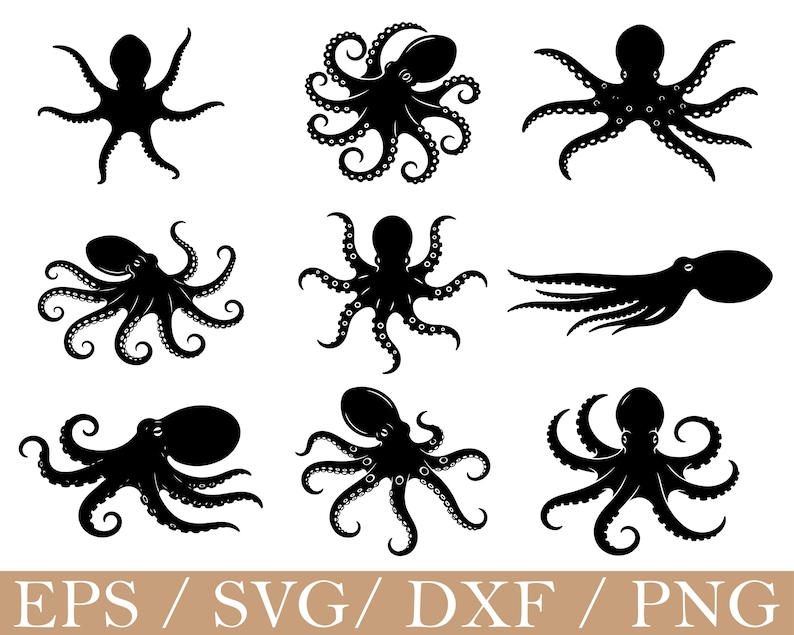 Octopus Svg, Dxf, Png - Etsy