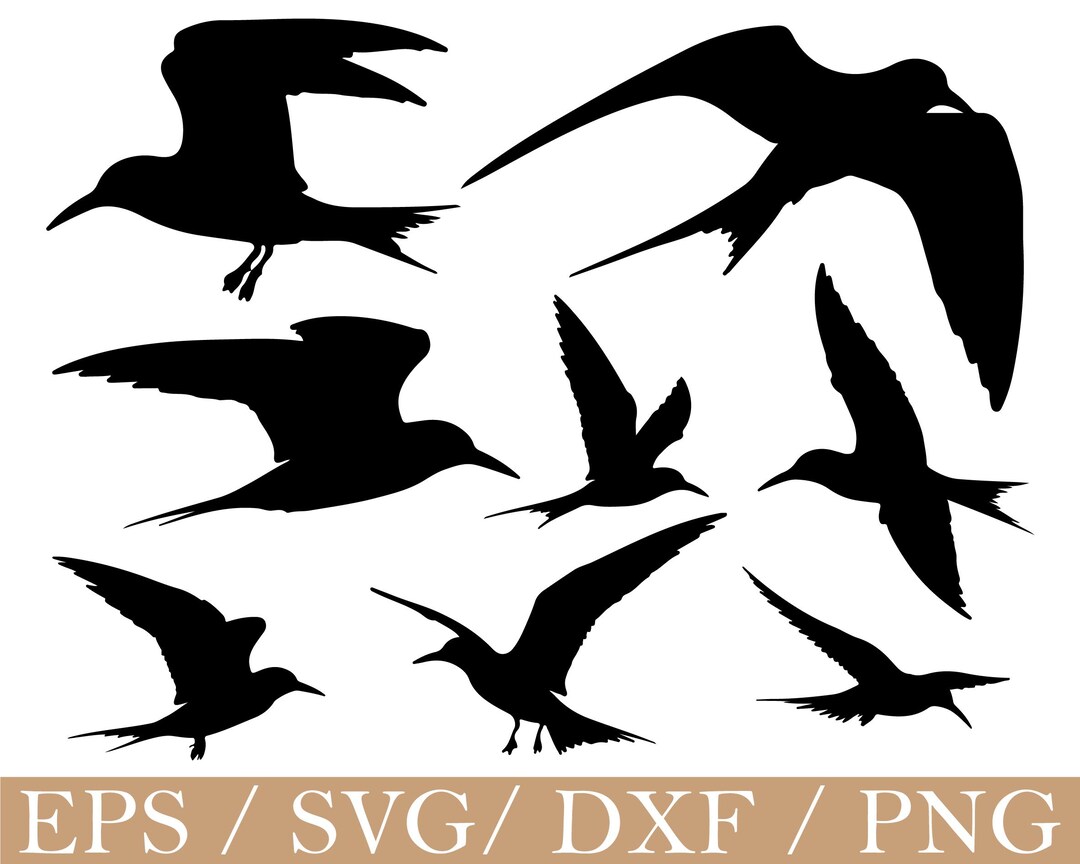 Tern Bird Svg, Tern Bird Silhouette, Dxf, Png - Etsy