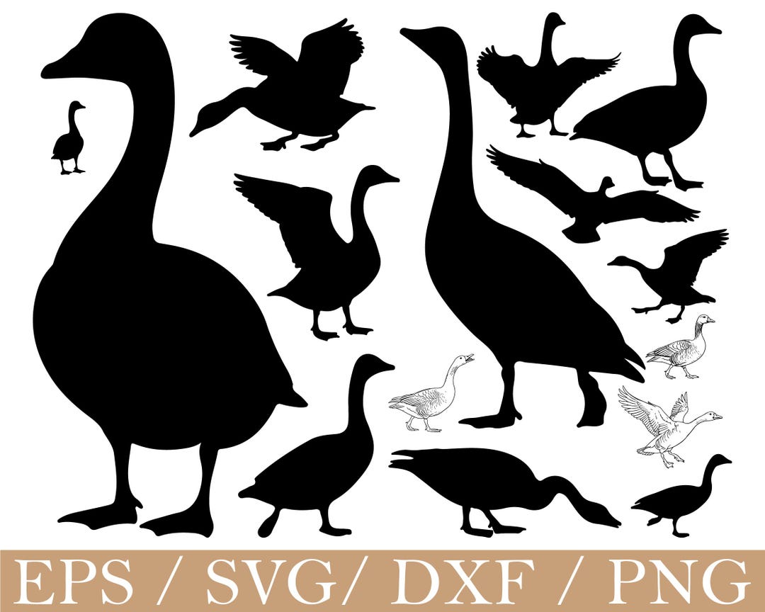 Goose Svg, Goose Silhouette, Dxf, Png - Etsy
