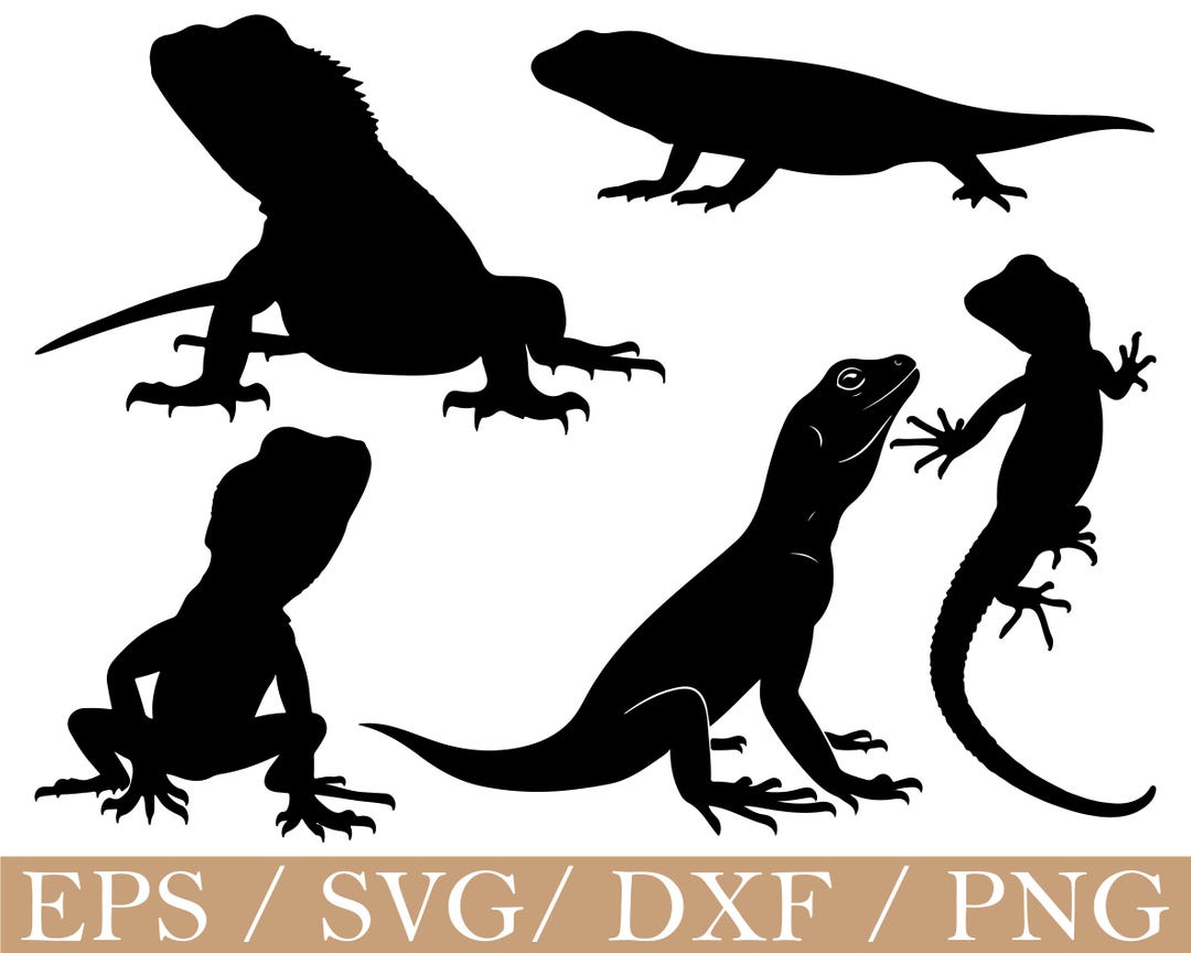 Agama Lizard Svg, Lizard Silhouette, Dxf, Png - Etsy