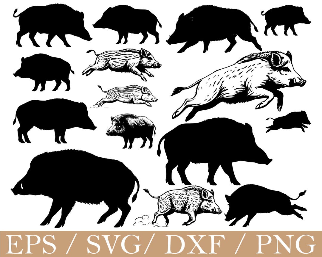 Wild Boar Svg, Wild Boar Silhouette, Dxf, Png - Etsy