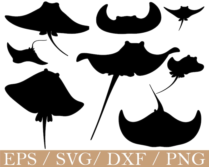 Stingray Svg, Stingray Silhouette, Dxf, Png - Etsy