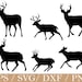 Mule Deer Svg, Deer Silhouette, Dxf, Png - Etsy