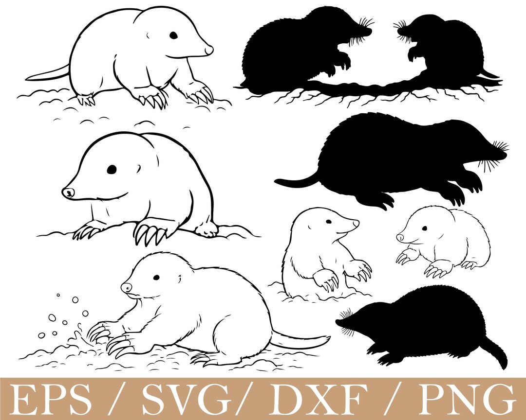 Mole Rat Svg, Mole Rat Silhouette, Dxf, Png - Etsy